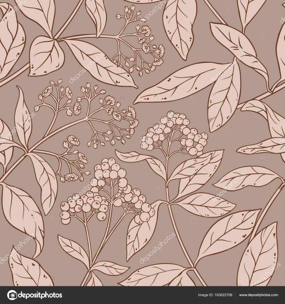 Allspice vector pattern Stock Vector Image by ©cuttlefish84 #163622708