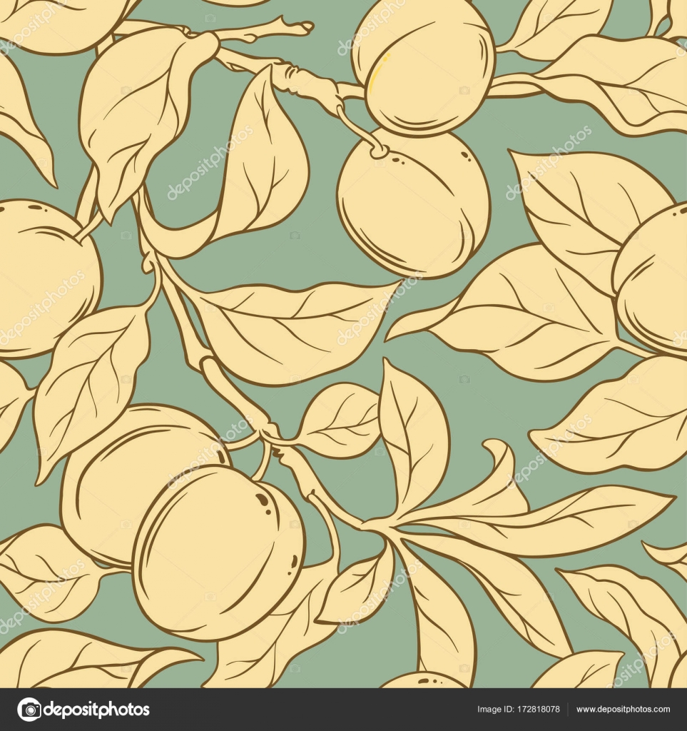 Apricot vector pattern Stock Vector by ©cuttlefish84 172818078