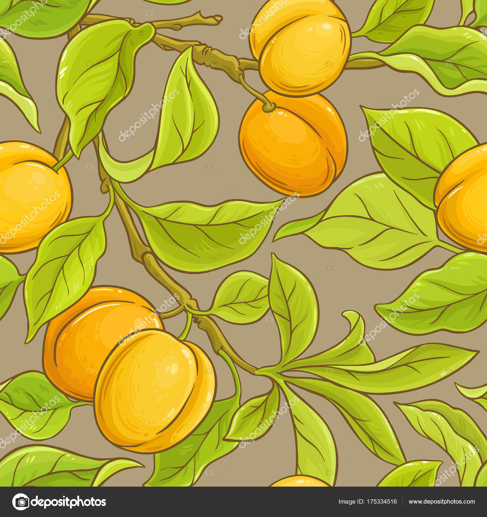 Apricot vector pattern Stock Illustration by ©cuttlefish84 #175334516