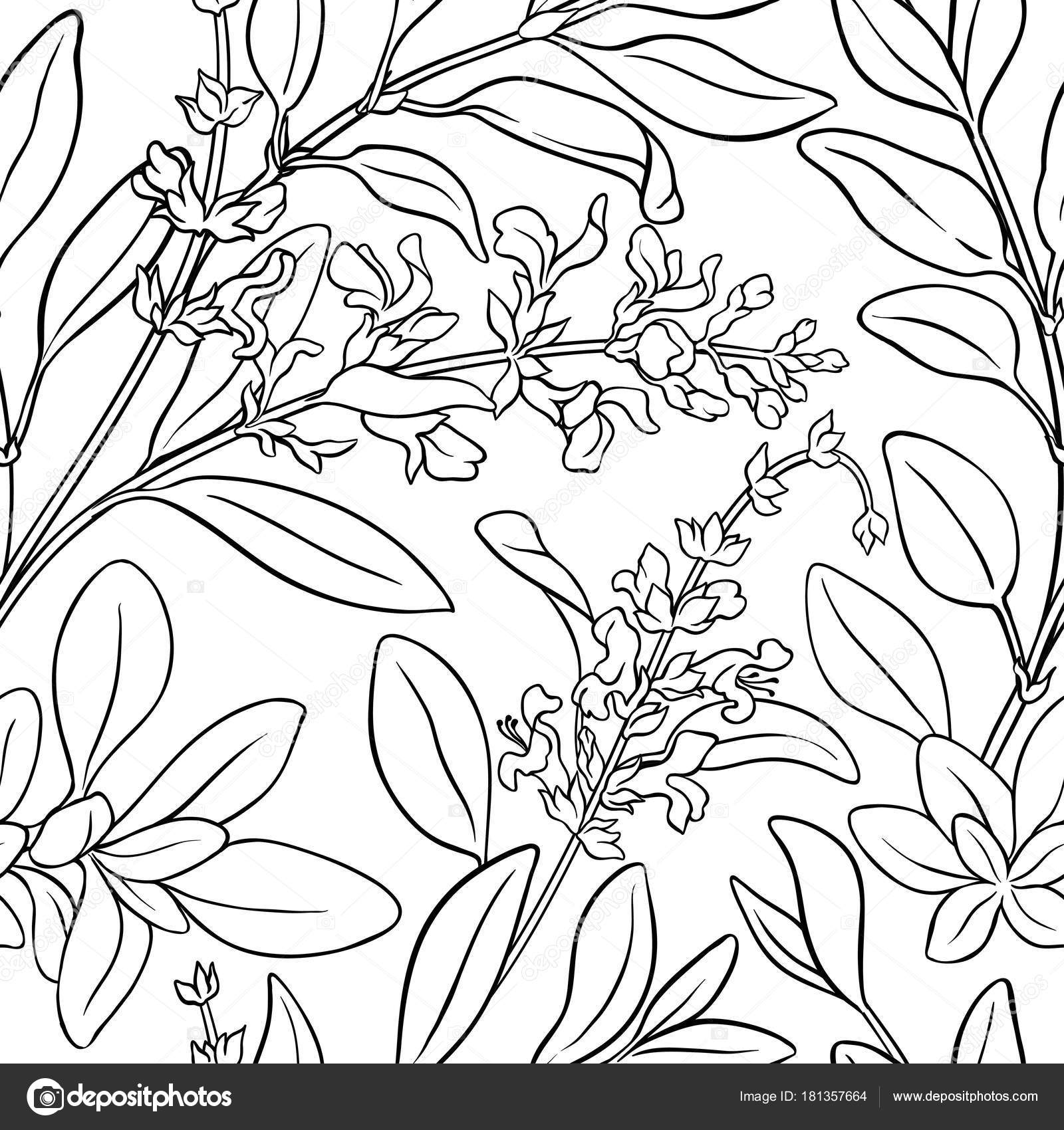 Sage seamless pattern Stock Vector by ©cuttlefish84 181357664