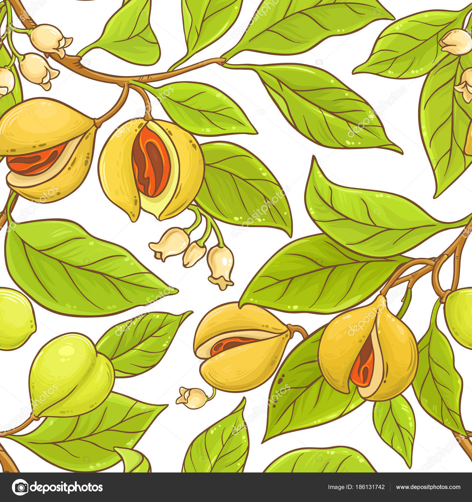 Nutmeg branch vector pattern Stock Vector Image by ©cuttlefish84 #186131742