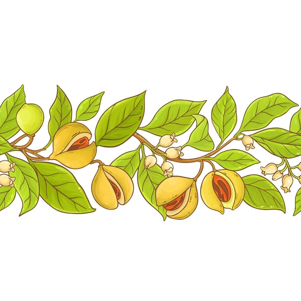 Nutmeg branch vector pattern Stock Vector Image by ©cuttlefish84 #186131742