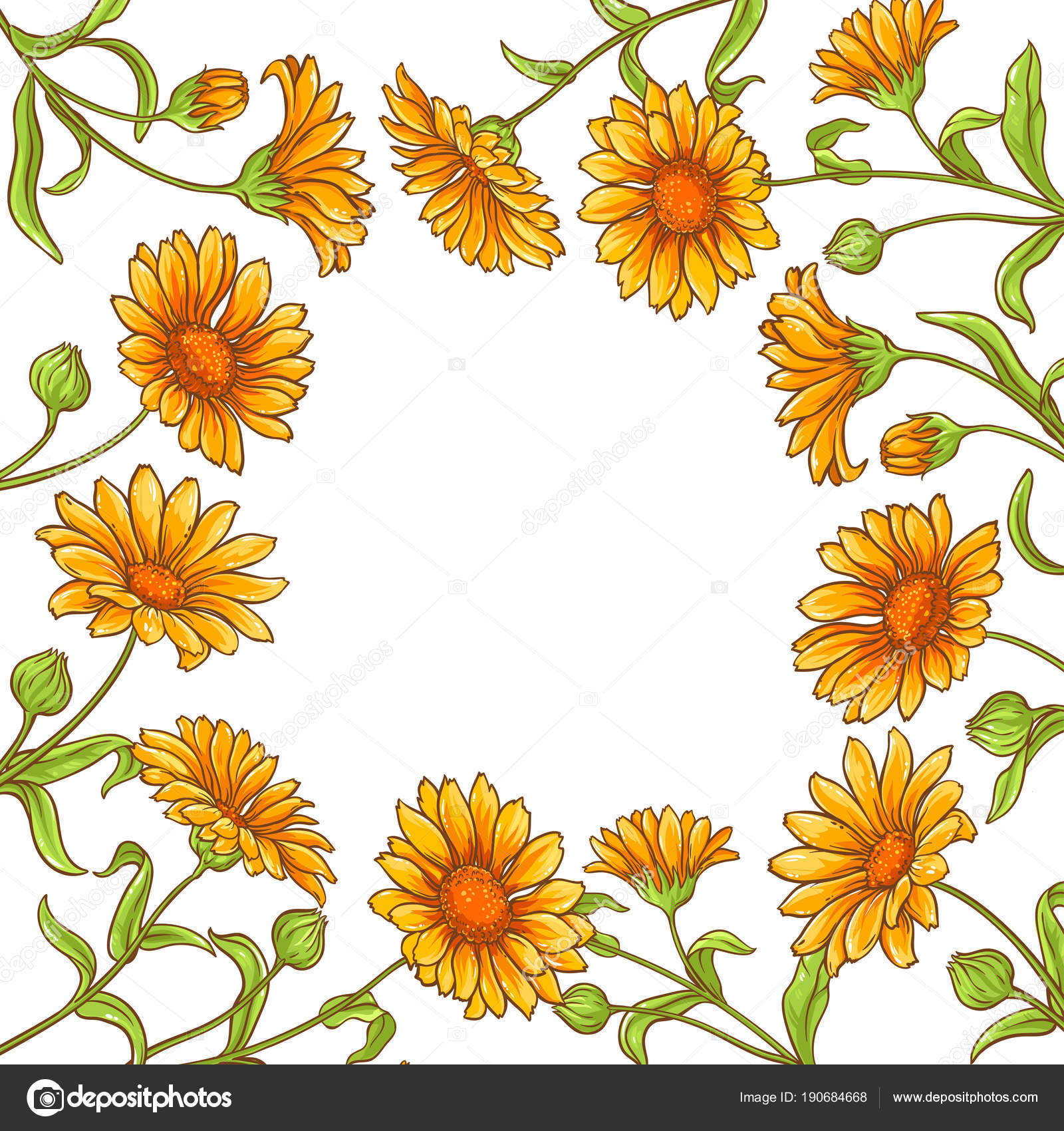 Calendula flower vector frame Stock Vector Image by ©cuttlefish84 ...