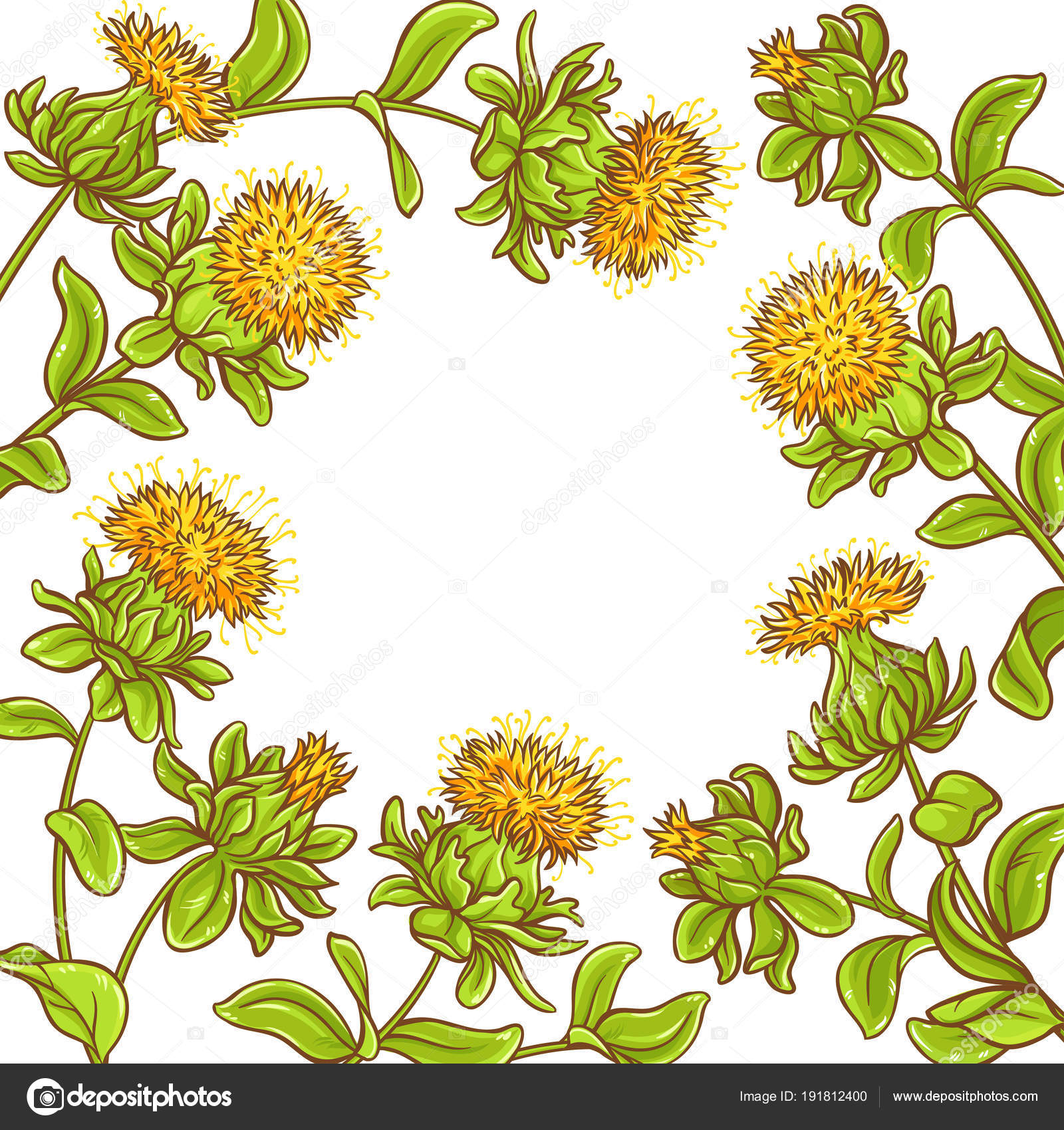 Safflower plant vector frame Stock Vector Image by ©cuttlefish84 #191812400