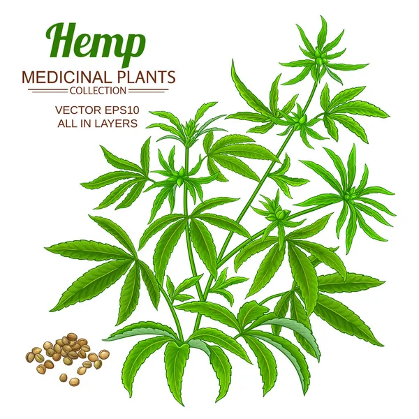 Hemp vector pattern Stock Vector Image by ©cuttlefish84 #325516860