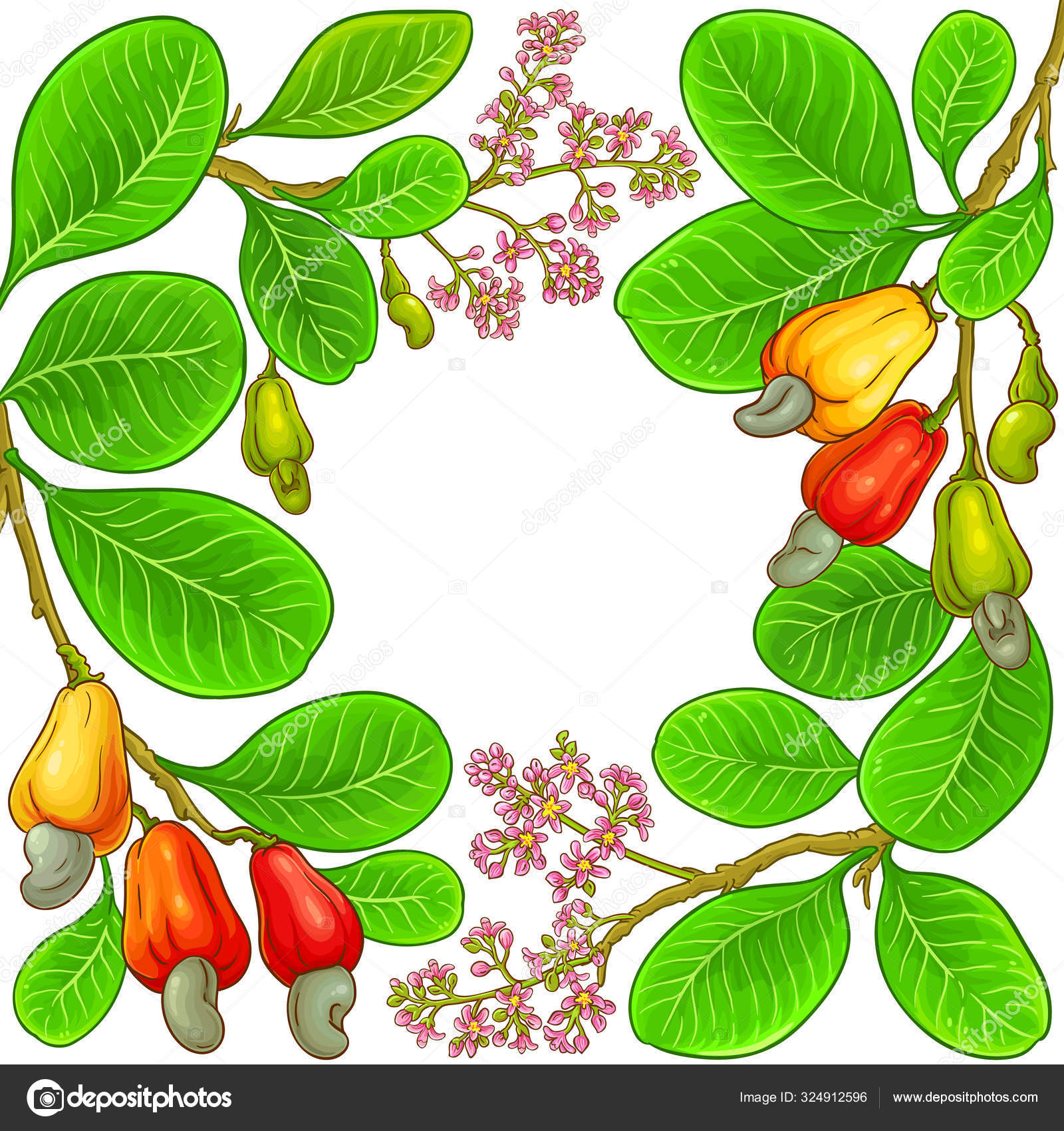 Cashew vector frame Stock Vector Image by ©cuttlefish84 #324912596