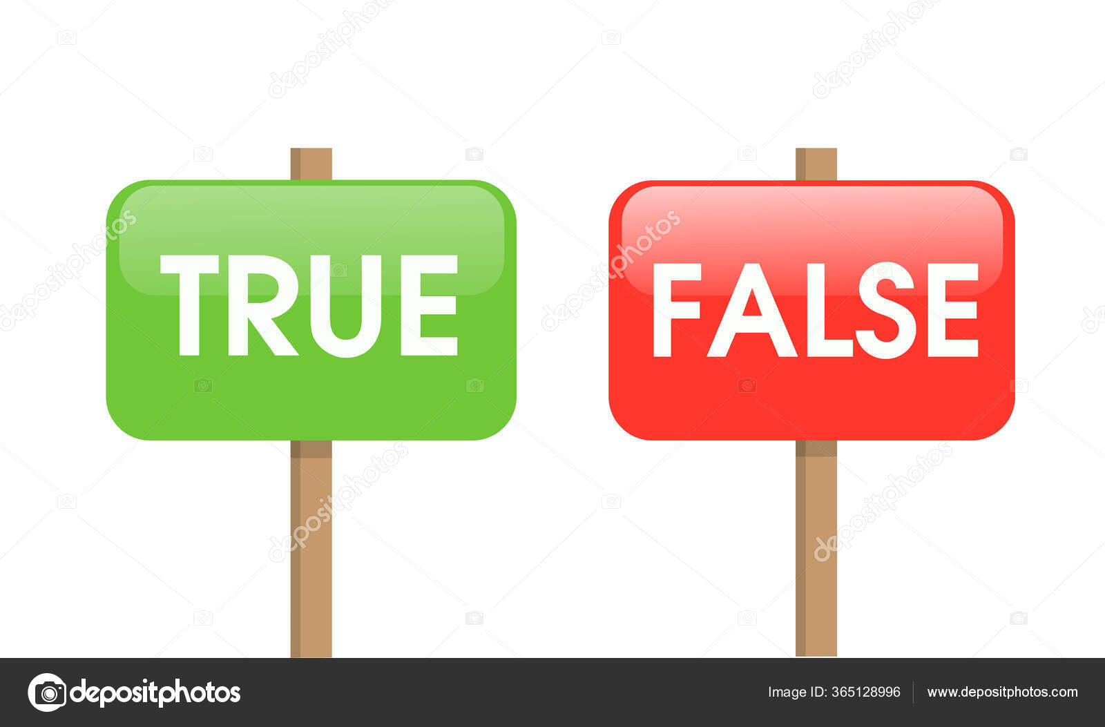 True And False Icon