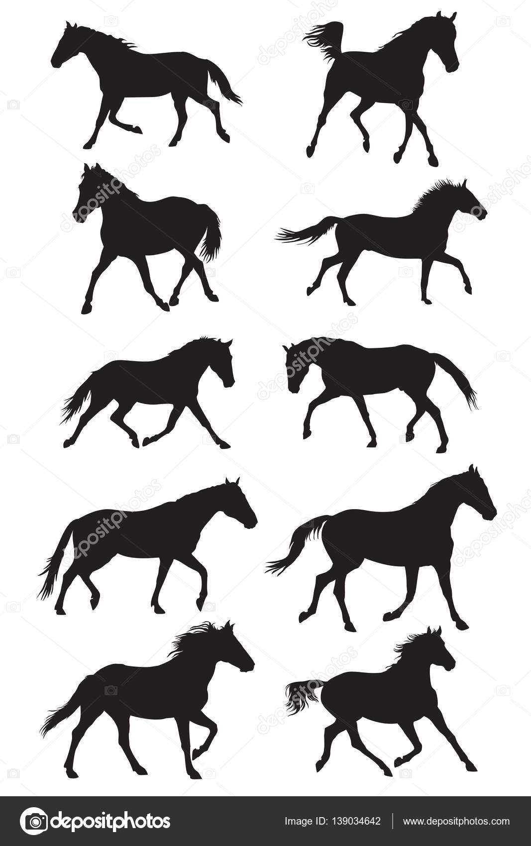 Extended Trot Silhouette