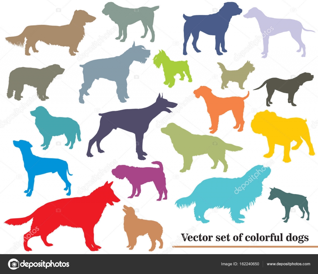 Vector set of colorful dogs silhouettes Stock Vector Image by ©Alinart ...