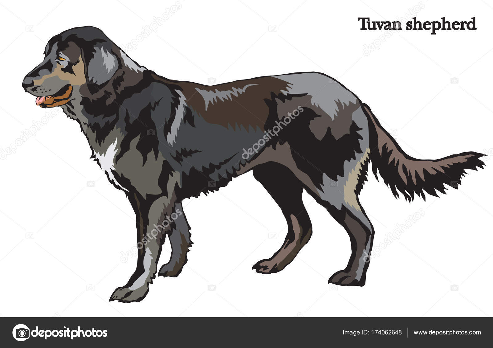 Dog (shepherd) vector illustration Stock Vector Image by ©Alinart ...