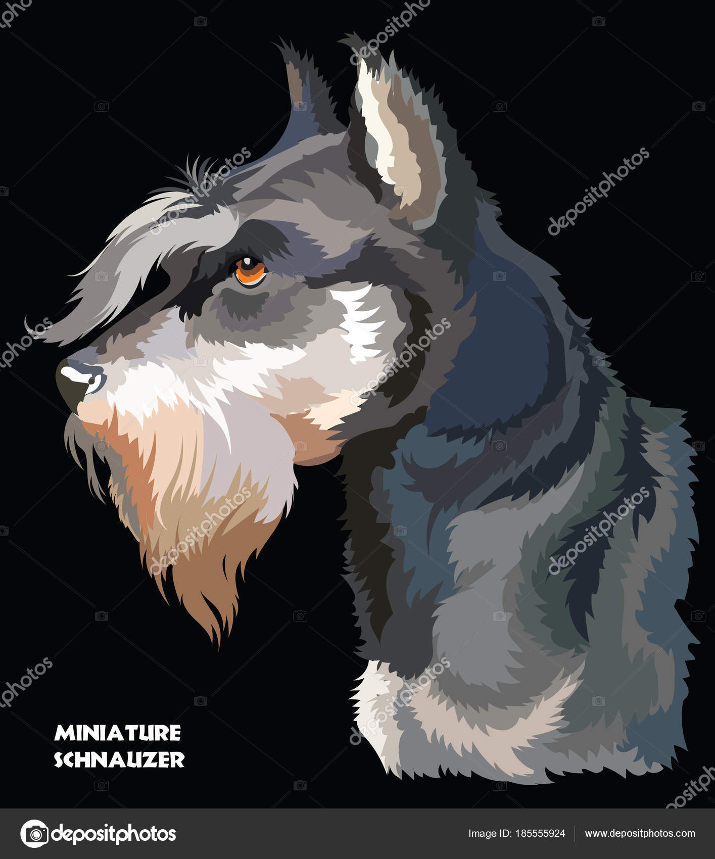 Miniature Schnauzer colorful vector portrait Stock Vector by ©Alinart ...
