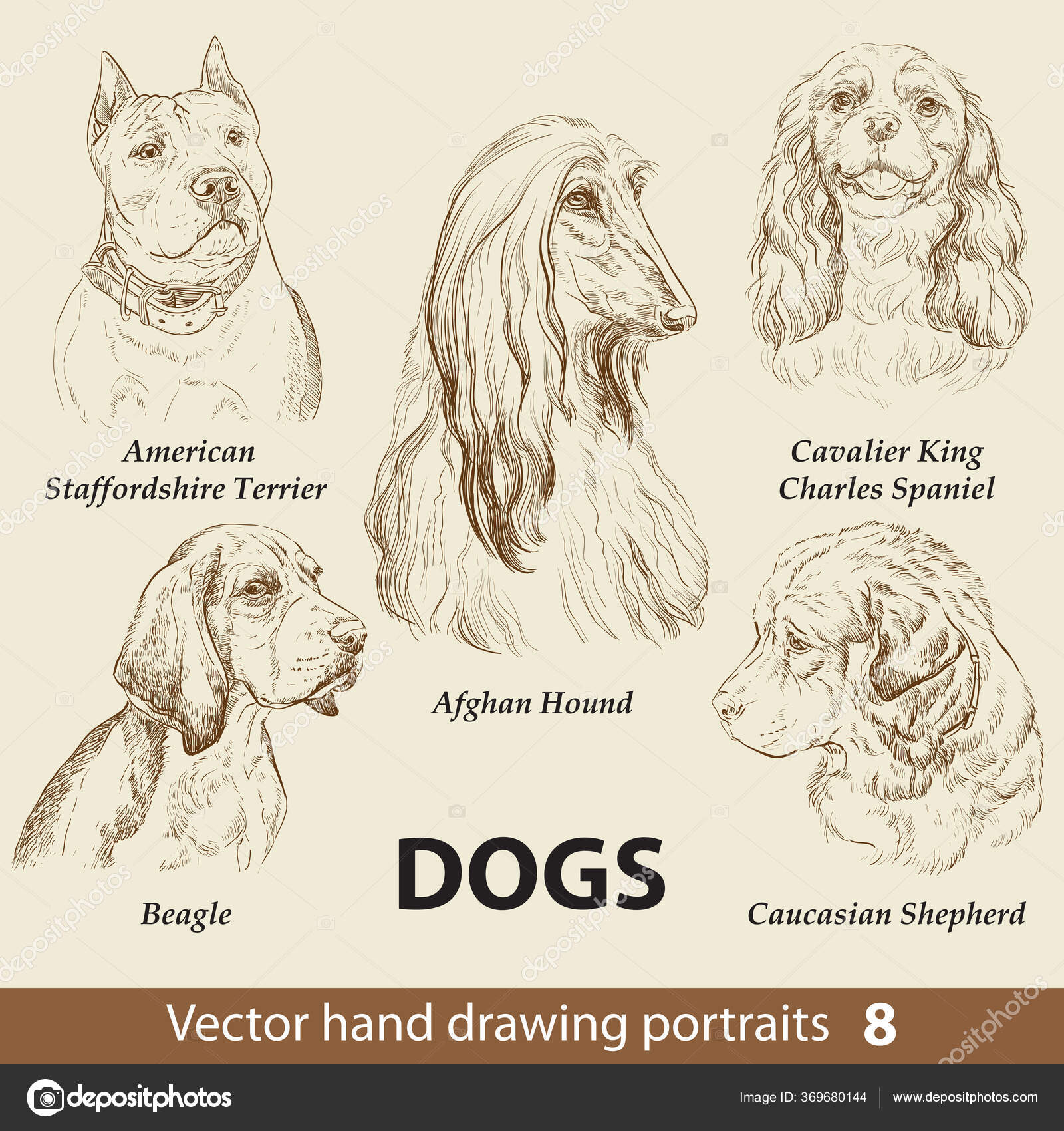 Hand Drawing Set Cute Dogs Breeds Part Dogs Head Isolated Stock Vector ...