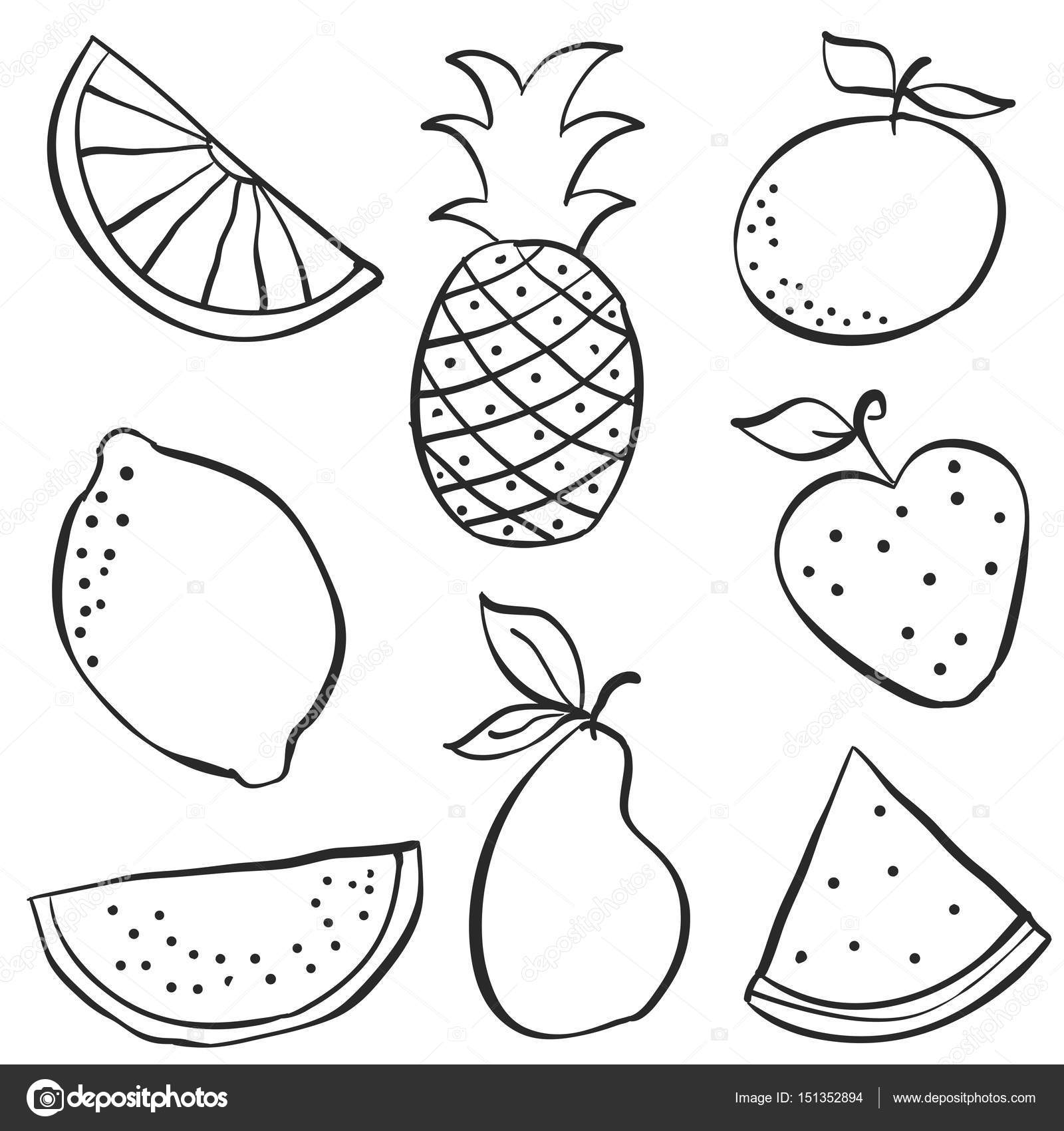 Hand draw of fruit fresh doodle — Stock Vector © kongvector #151352894 Hand draw of fruit fresh doodle — Stock Vector © kongvector #151352894