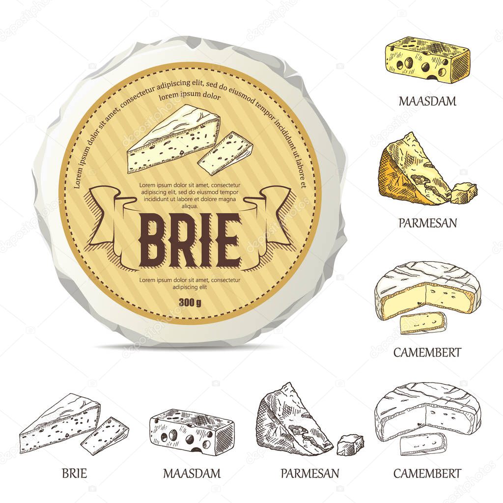 Brie Logo
