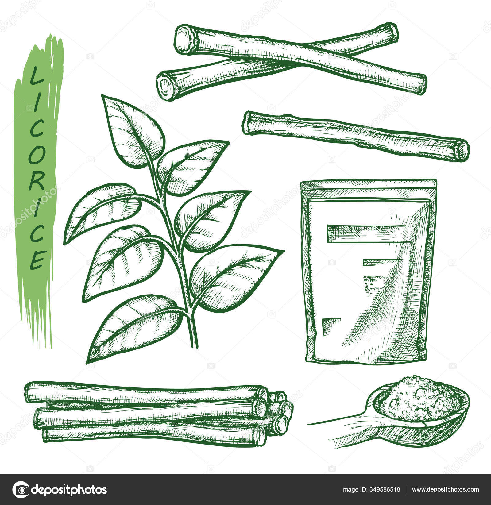 Licorice spice, liquorice root seasonings sketch Stock Vector Image by ...