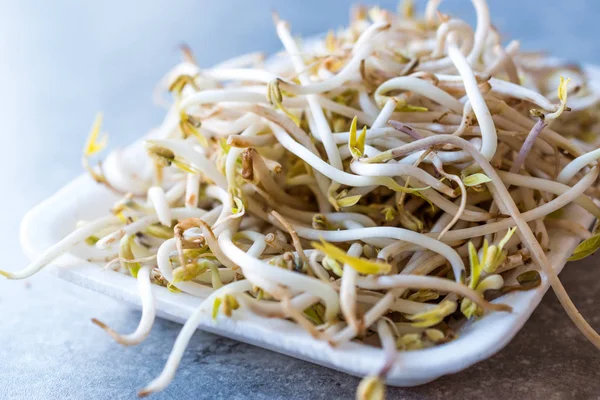Package of Bean Sprouts / Mungbean or Soybean - Stock Image - Everypixel