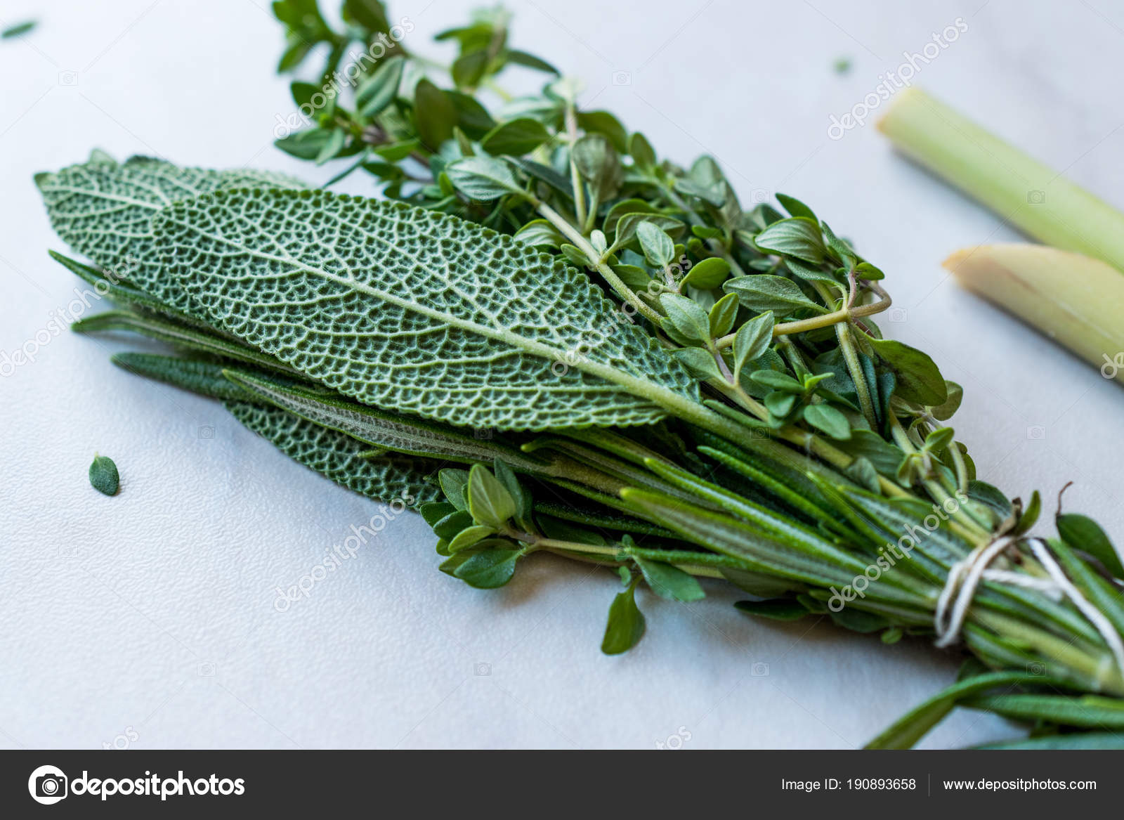 Herbal Tea Leaves Include Lippia, Sage, Rosemary Thyme and Lemon Stock ...