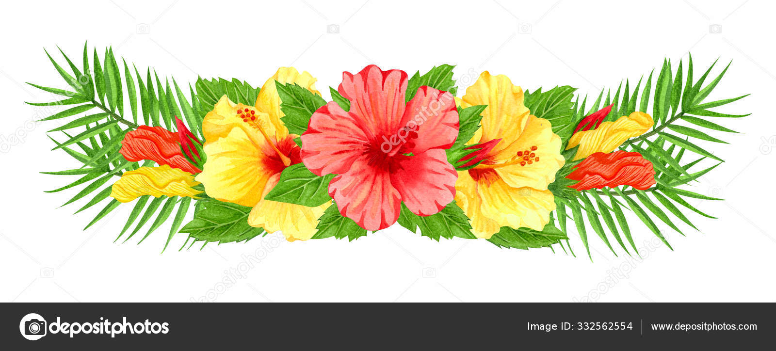 Tropical Flower Border Clip Art