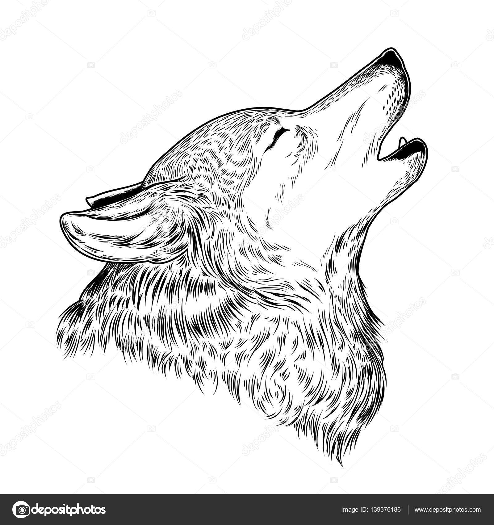 Illustration of a howling wolf Stock Illustration by ©vectorpocket ...