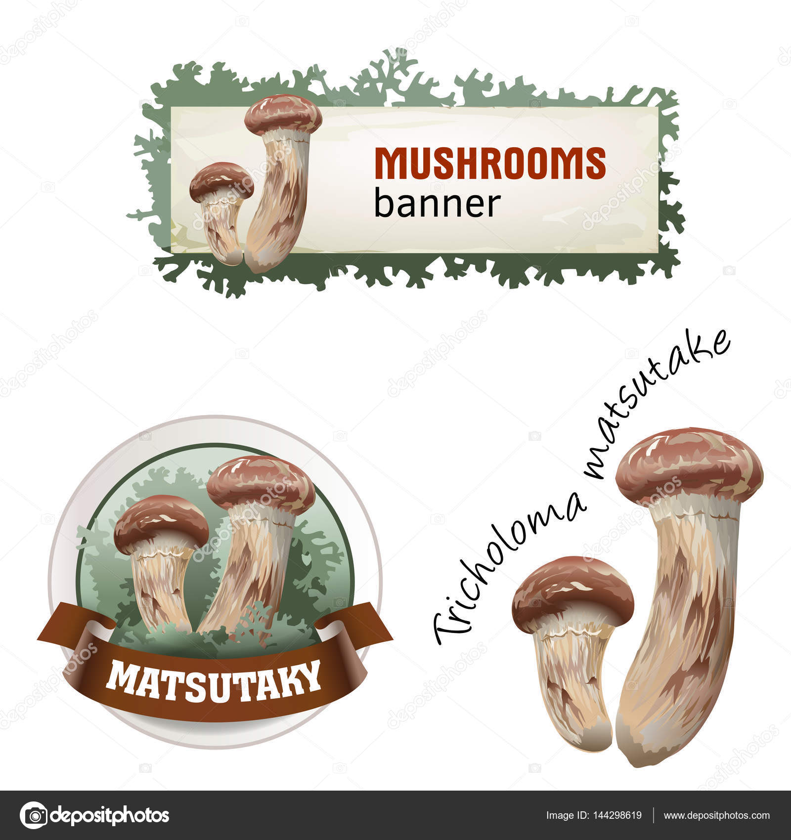 Set of mushroom vector banner, badge, sticker, icon with matsutake ...
