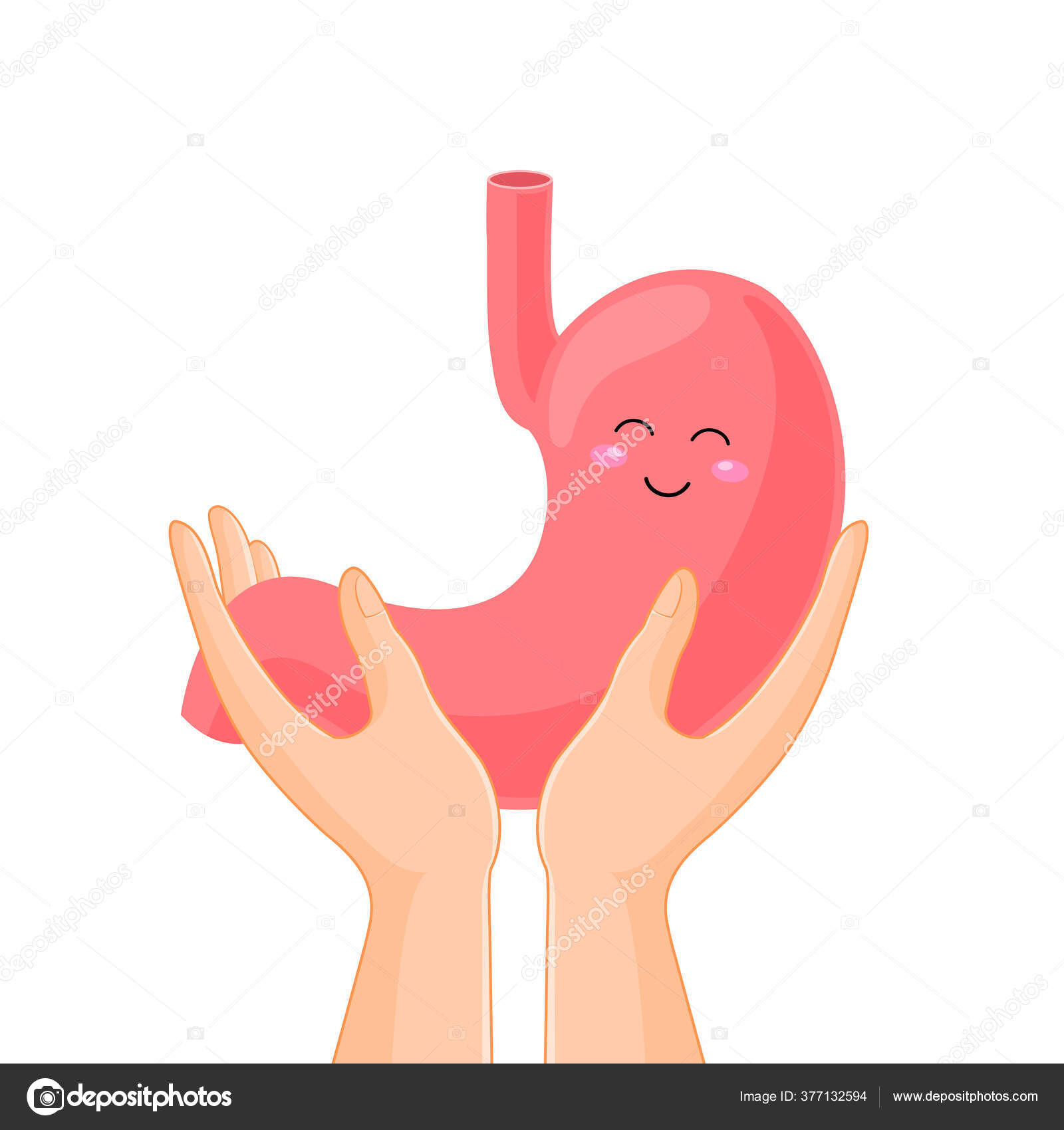 Hand Holding Human Organ Stomach Human Body Part Internal Organs Stock ...
