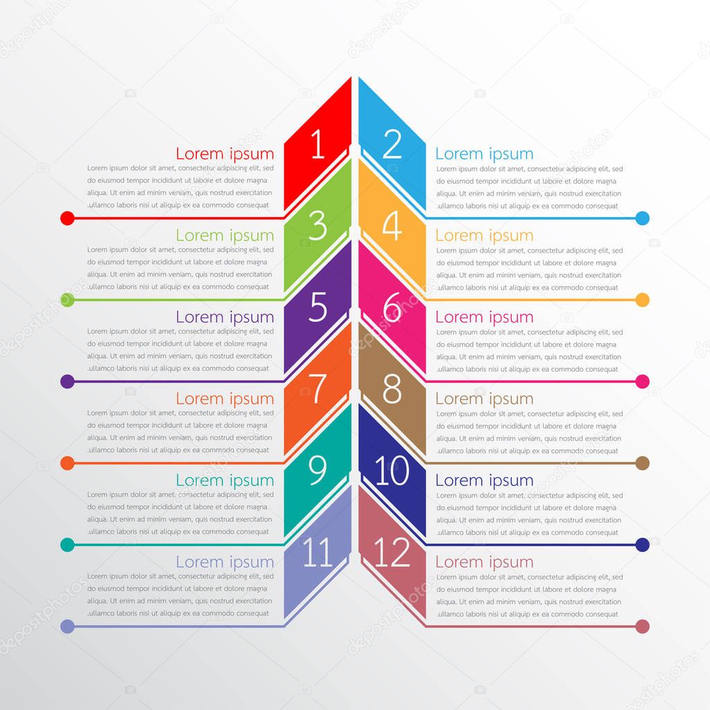Plantillas de infografía vectorial utilizadas para informes detallados ...