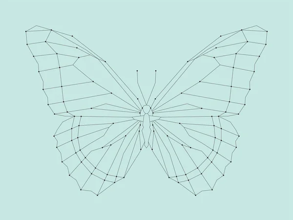 Geometric linear butterfly, constellation Stock Vector Image by ...