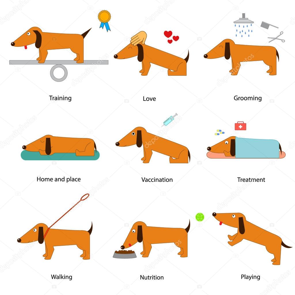 Juego de dibujos animados para el cuidado del perro. Vector 2025