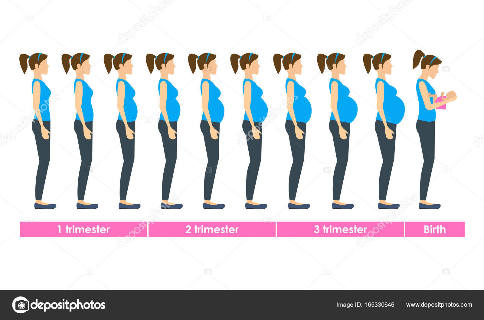 Cartoon pregnant birth | Cartoon Pregnancy Stages and Birth Set. Vector ...