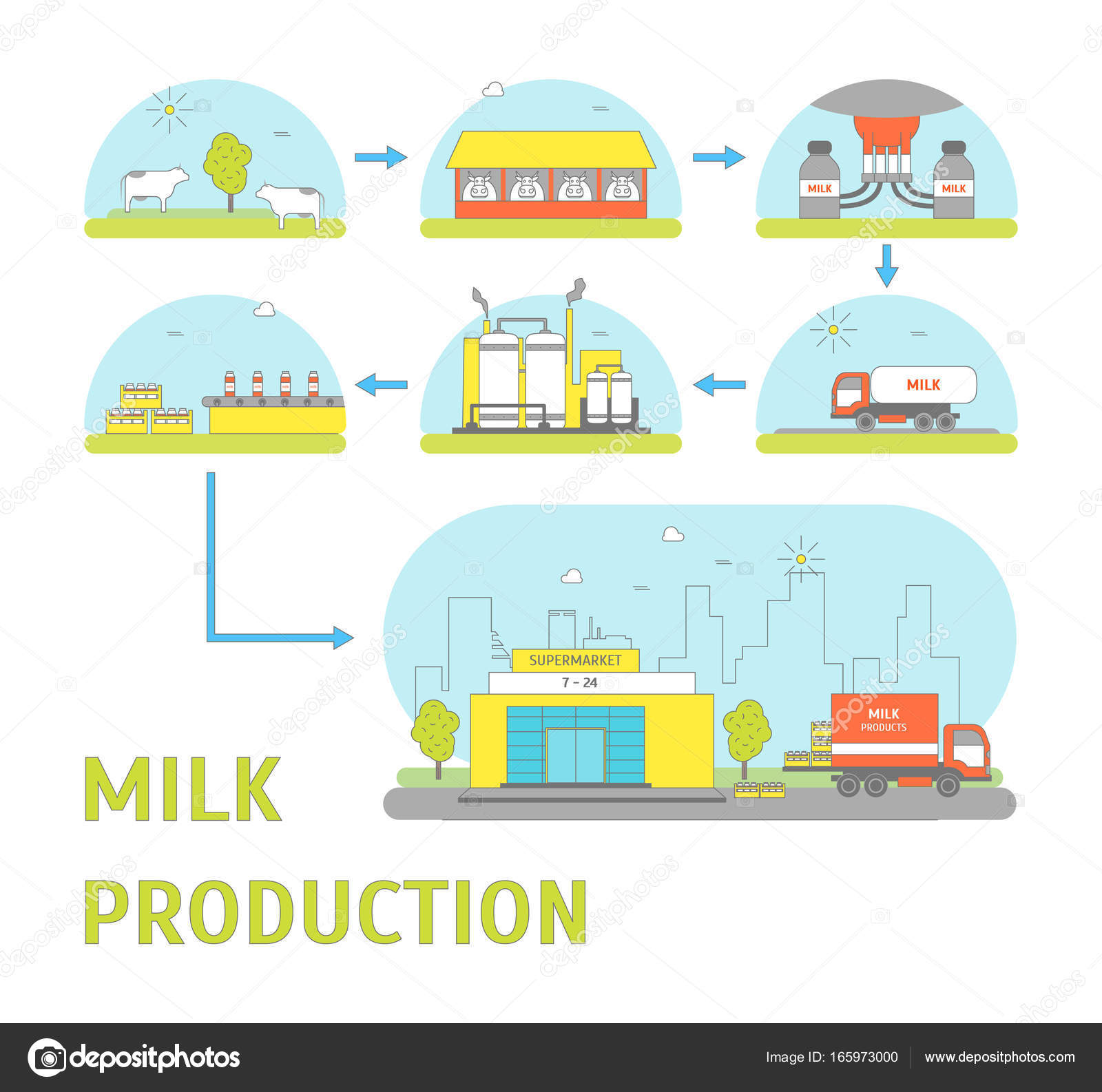Cow Milk Production Process