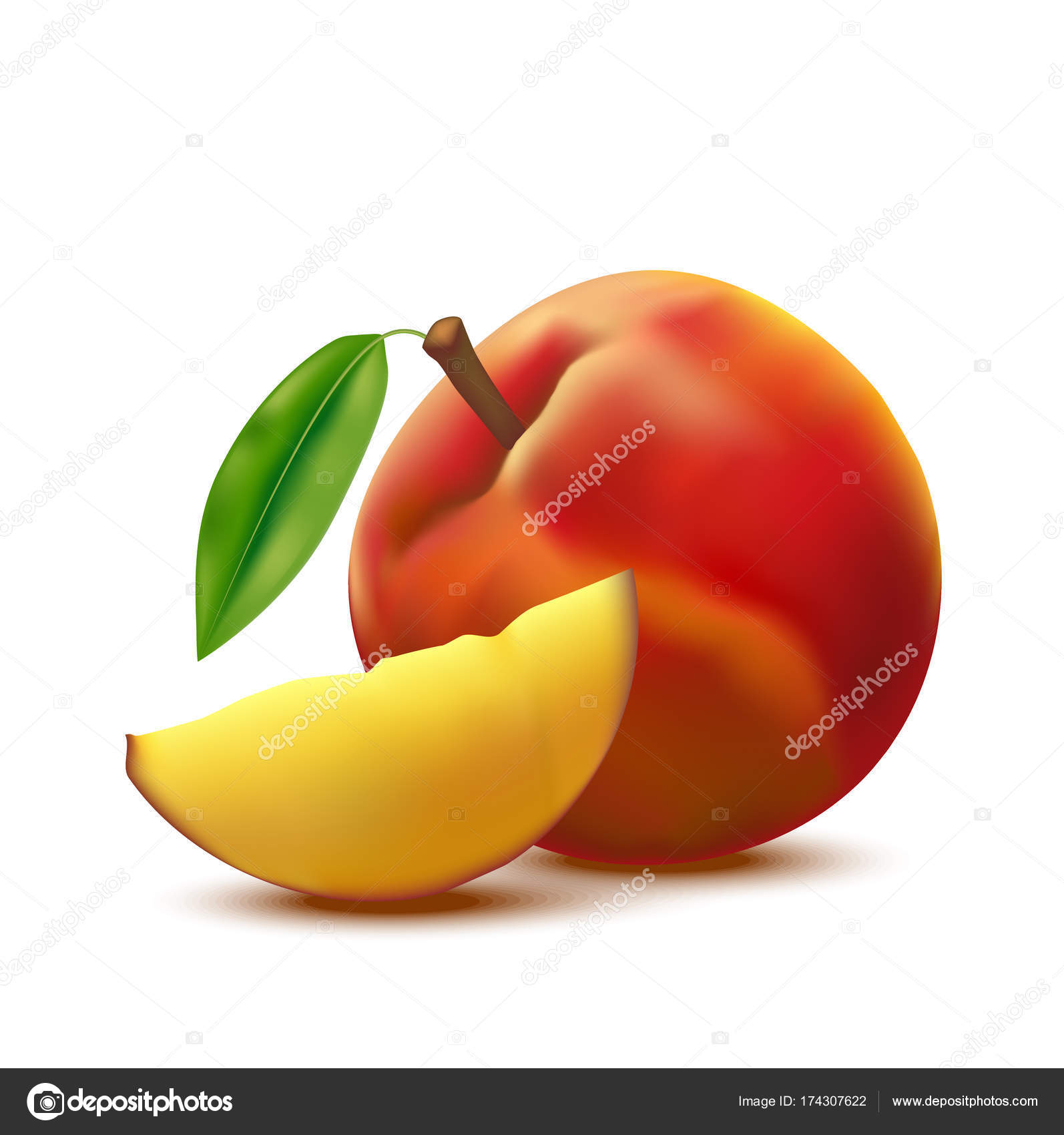 Realistic Detailed 3d Whole Peach Fruit and Slice. Vector Stock Vector ...