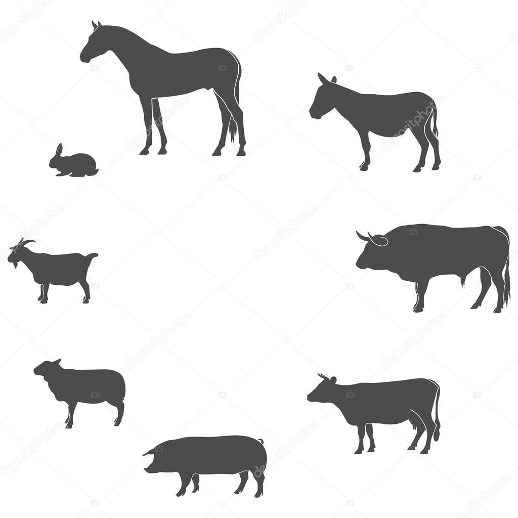 Conjunto vectorial de animales de granja aislados sobre un fondo blanco ...