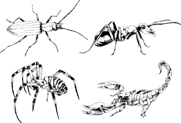 26,090,393 Insectos aquáticos Vector Images | Depositphotos