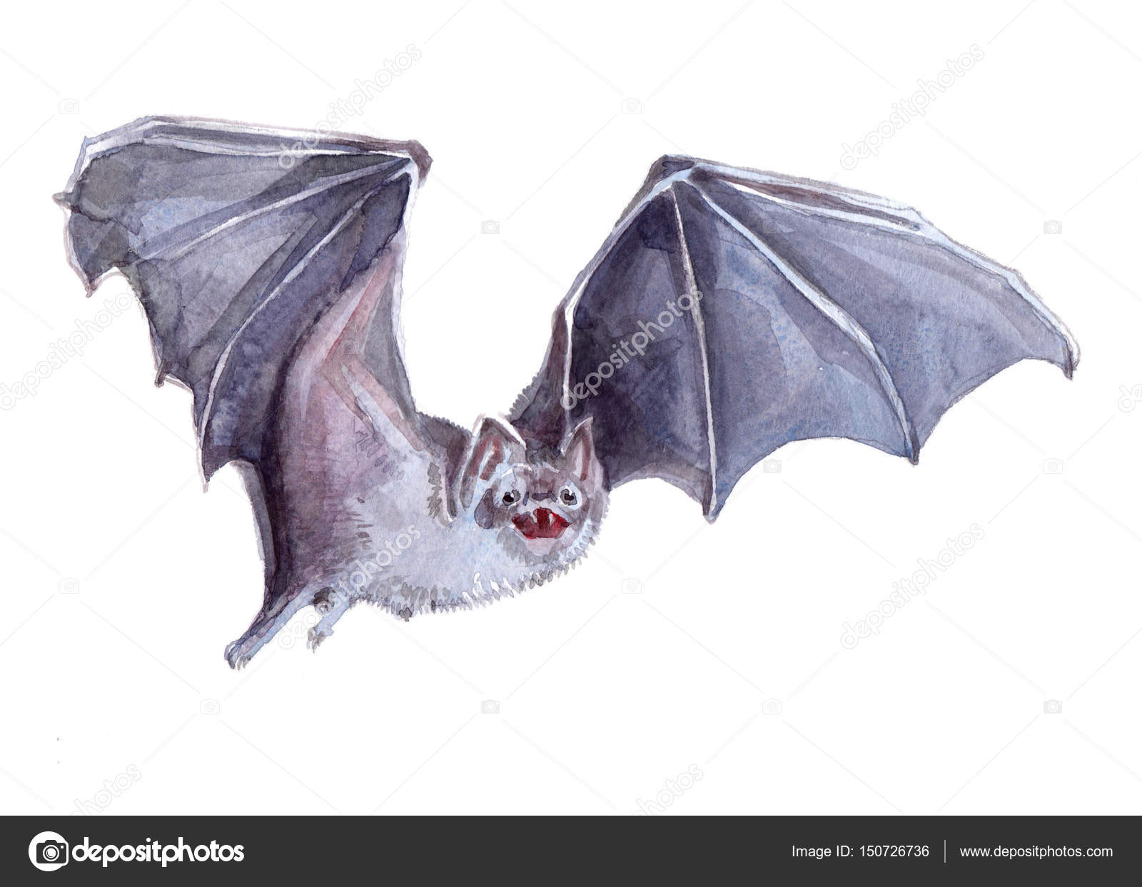 Watercolor single Bat animal isolated Stock Photo by ©makaroff.de@gmail ...