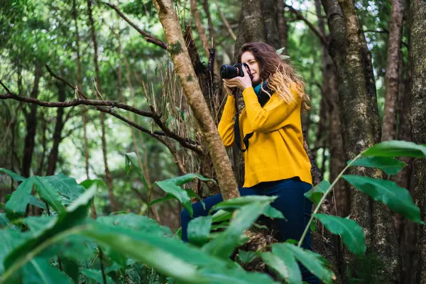 Forest people with cameras Stock Photos, Royalty Free Forest people ...