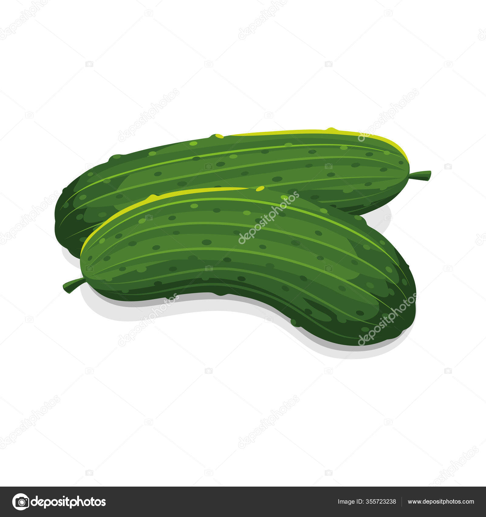 Cucumber green vector illustration isolated on white Stock Vector Image ...