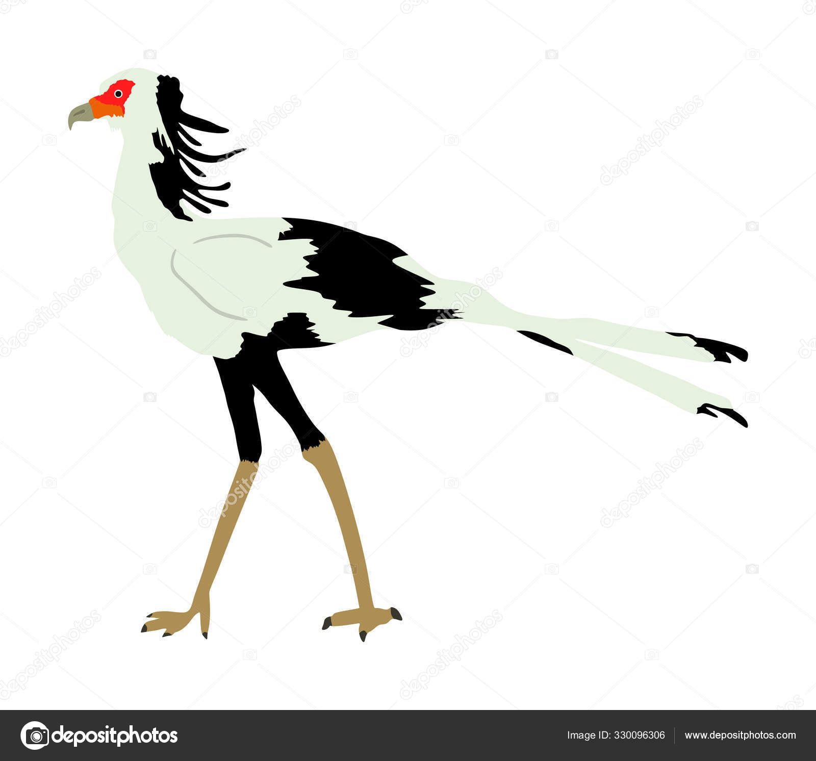 Secretary Bird Vector Illustration Isolated White Background ...