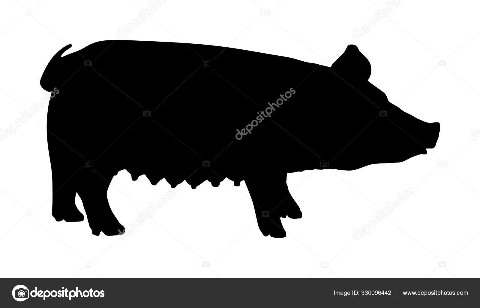 Silueta Vectorial Cerdo Aislada Sobre Fondo Blanco Carne Cerdo ...