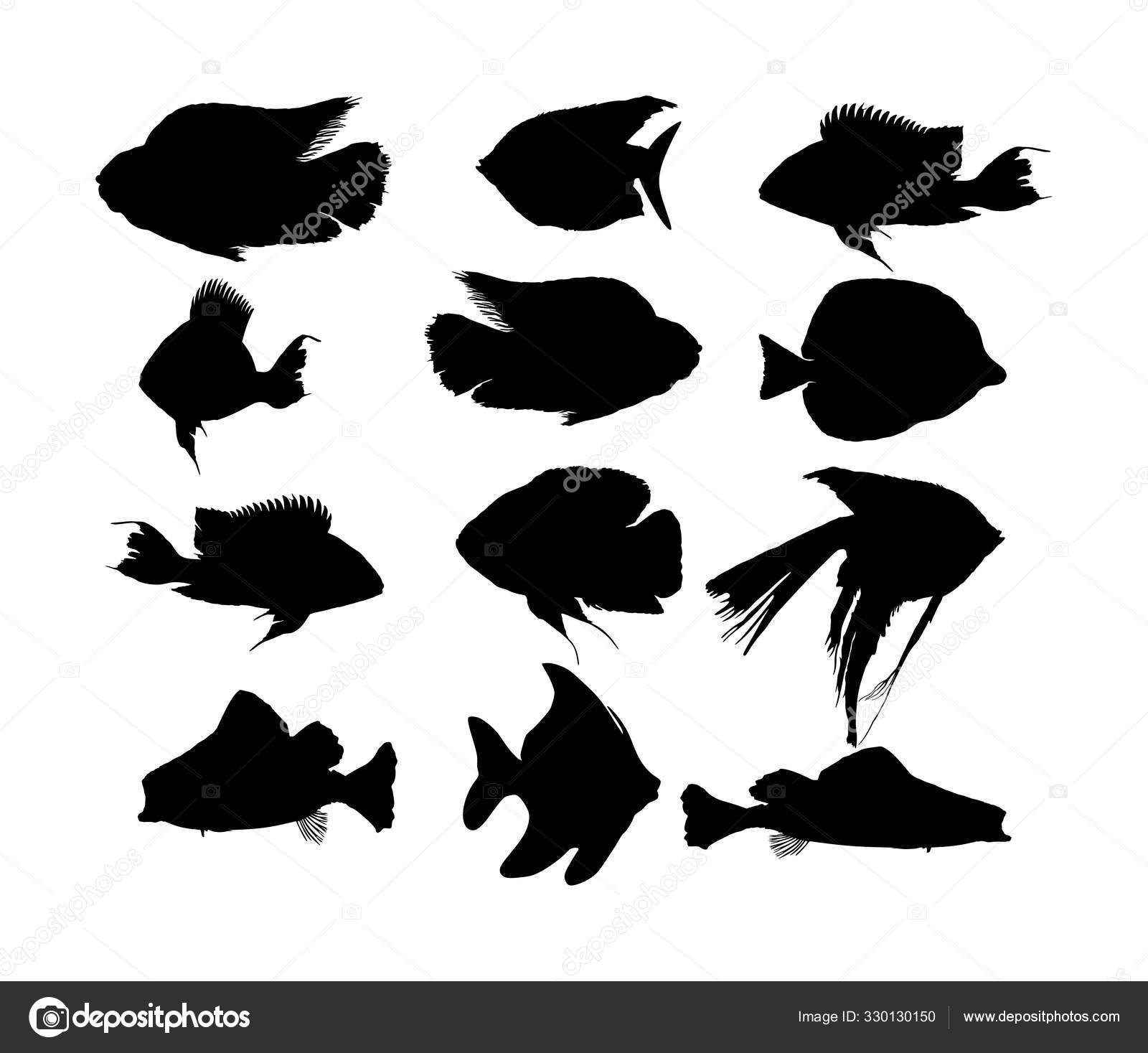 Tropical Fish Silhouette