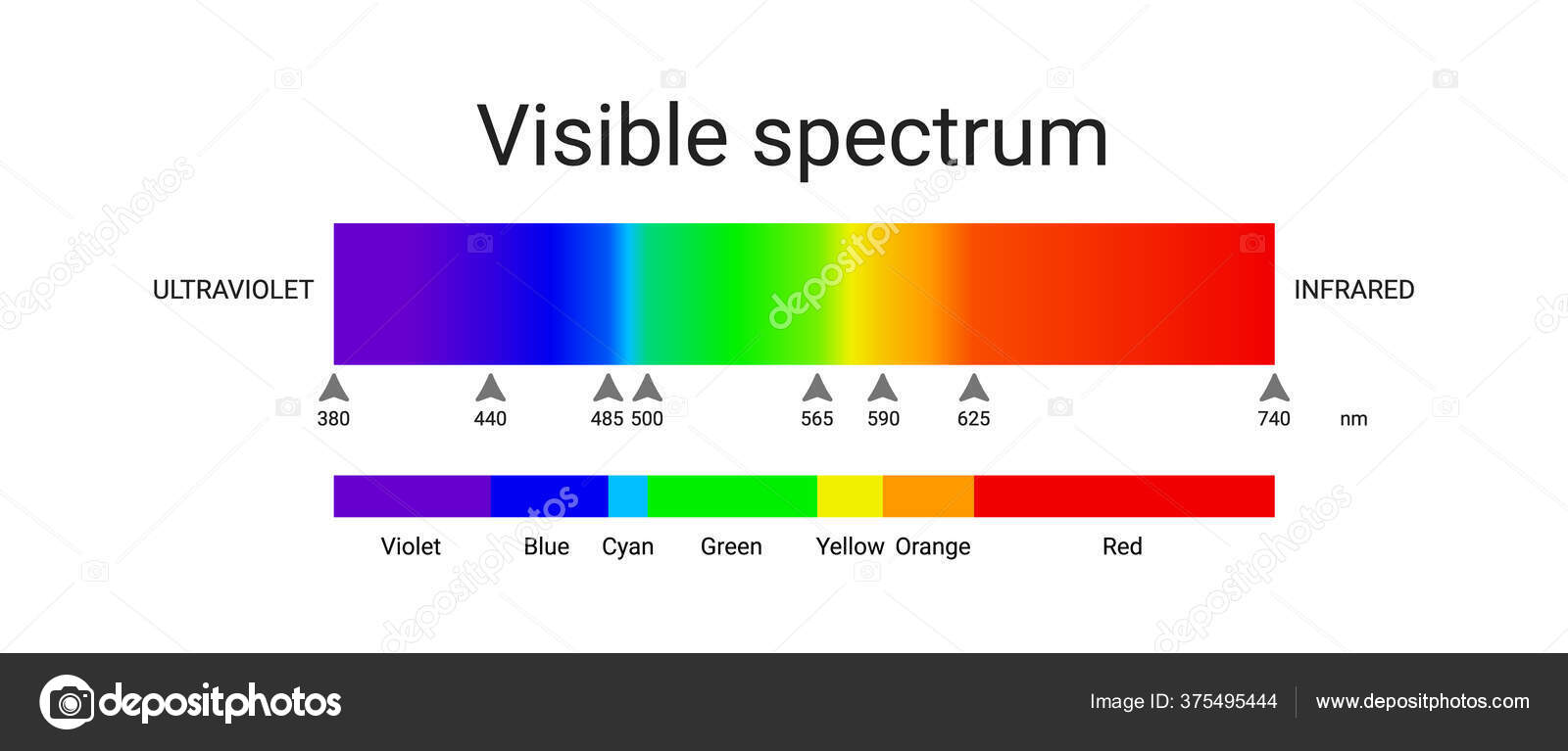 Visible Spectrum Light Infographic Sunlight Wavelength Vector ...