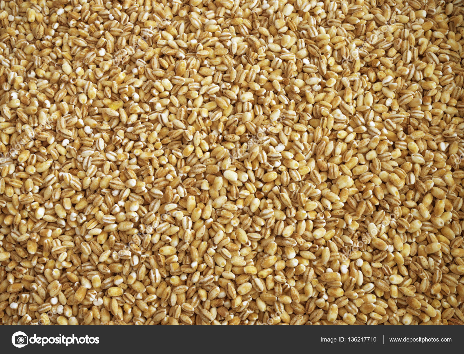 Barley Background