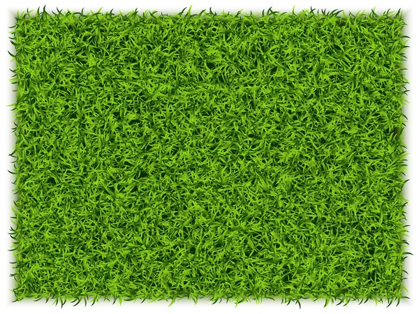 100,000 Grass texture Vector Images | Depositphotos