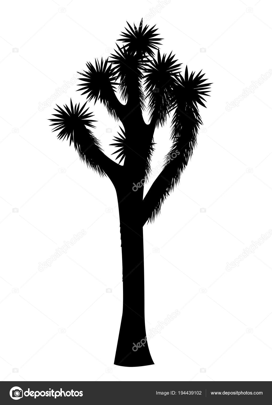 Joshua tree vector isolated on white background Stock Vector by ...
