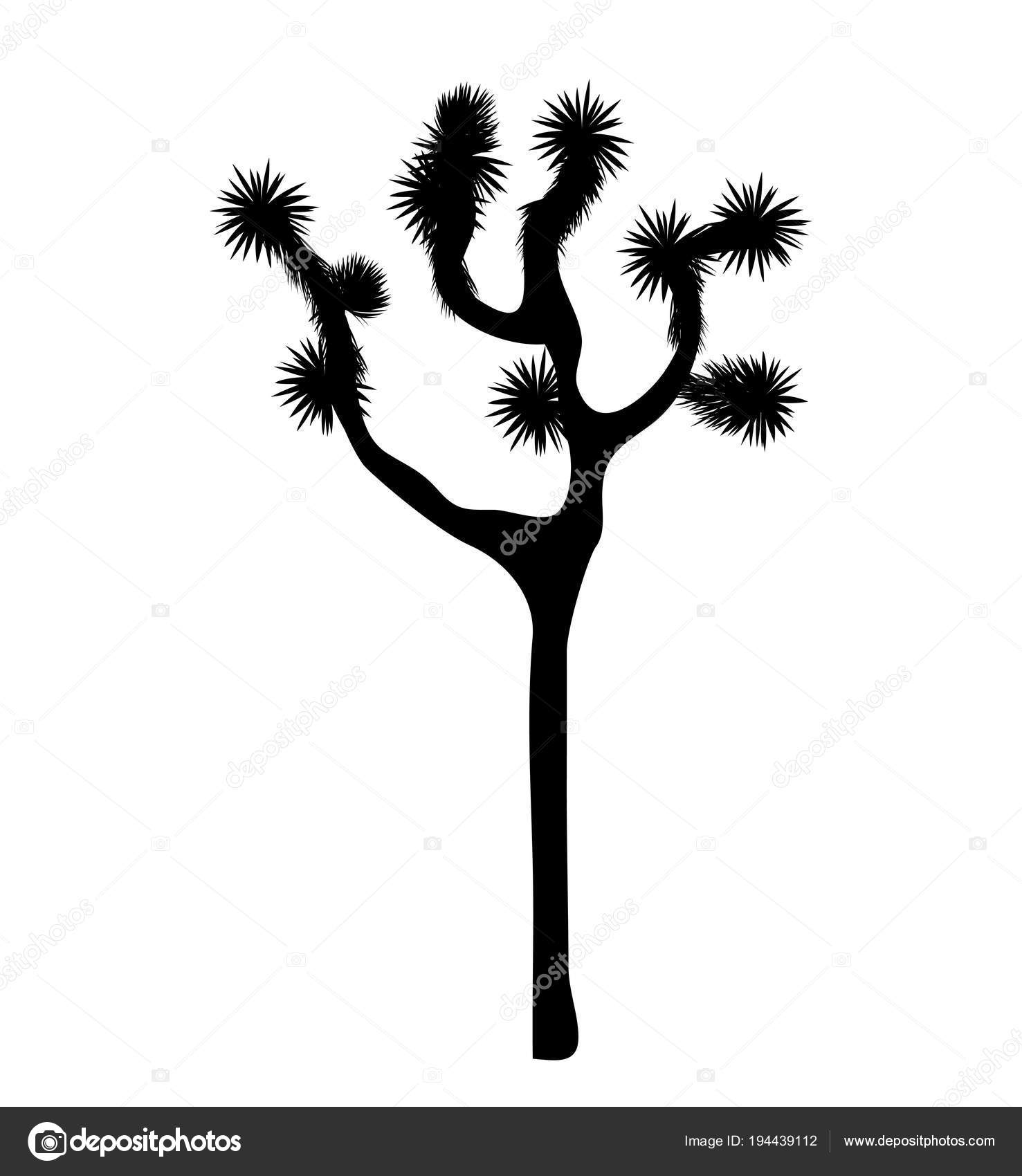 Joshua tree vector isolated on white background Stock Vector by ...