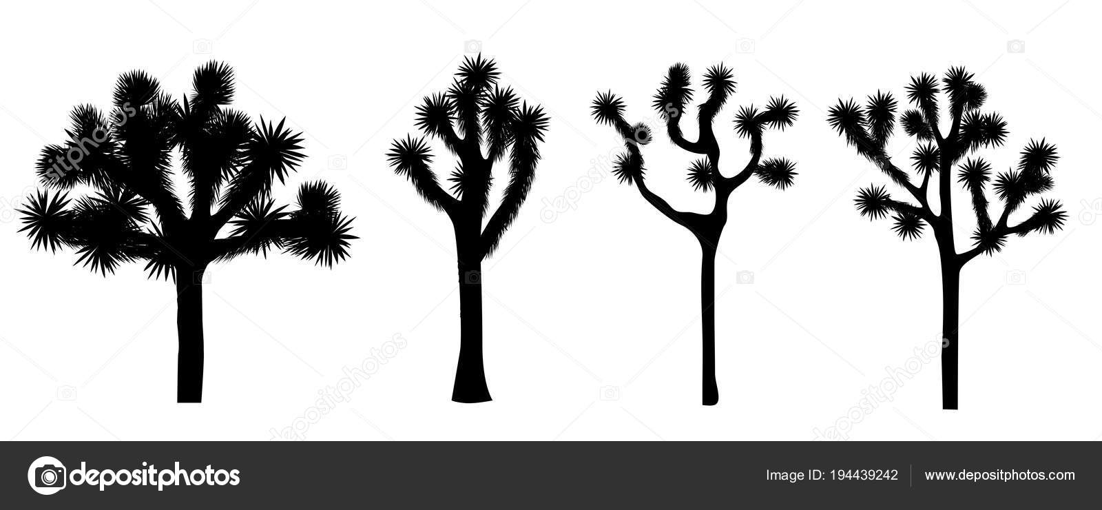 Joshua tree vector collection Stock Vector Image by ©Toltemara #194439242