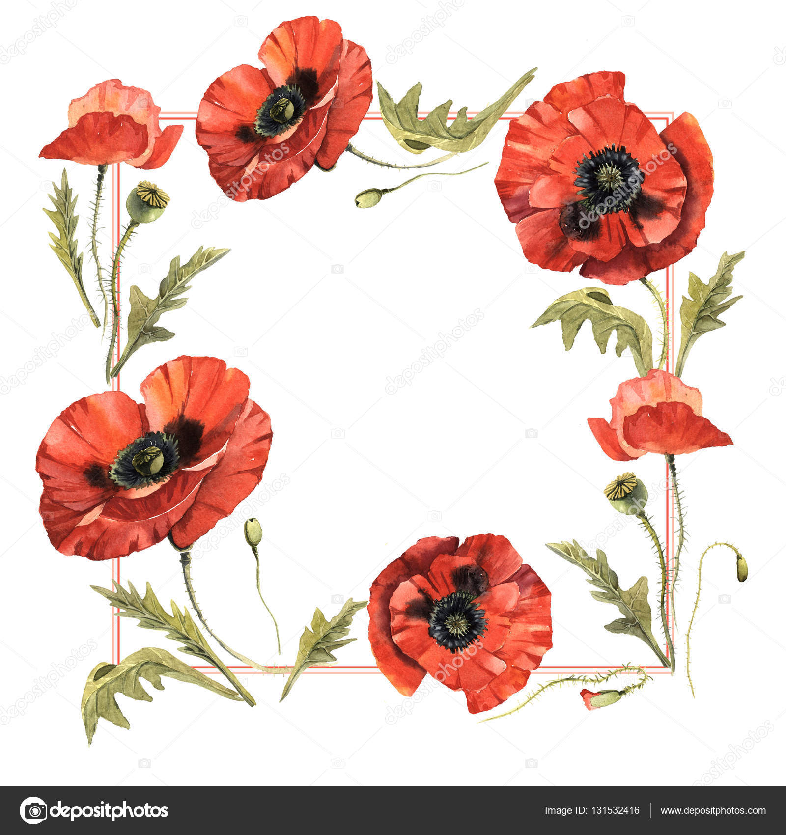 Wildflower poppy flower frame in a watercolor style isolated. — Stock ...