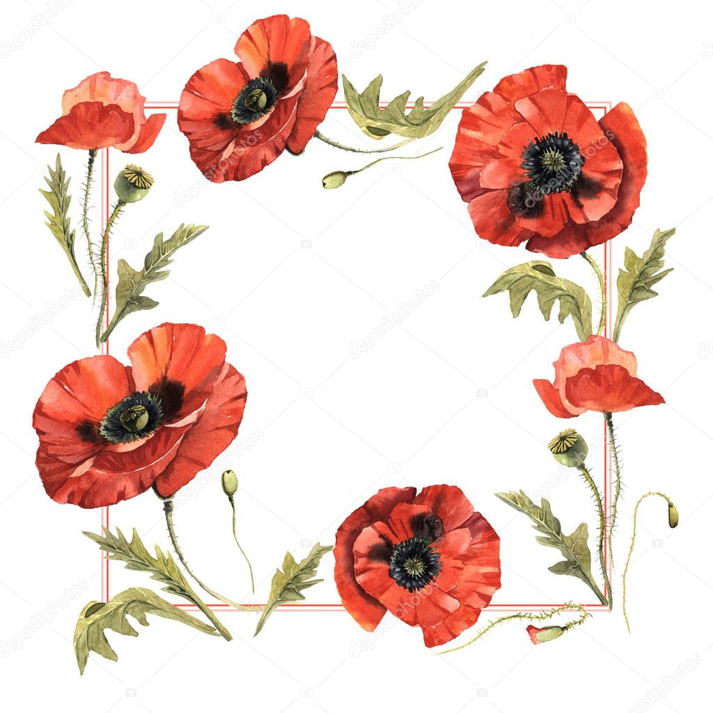 Wildflower poppy flower frame in a watercolor style isolated. — Stock ...