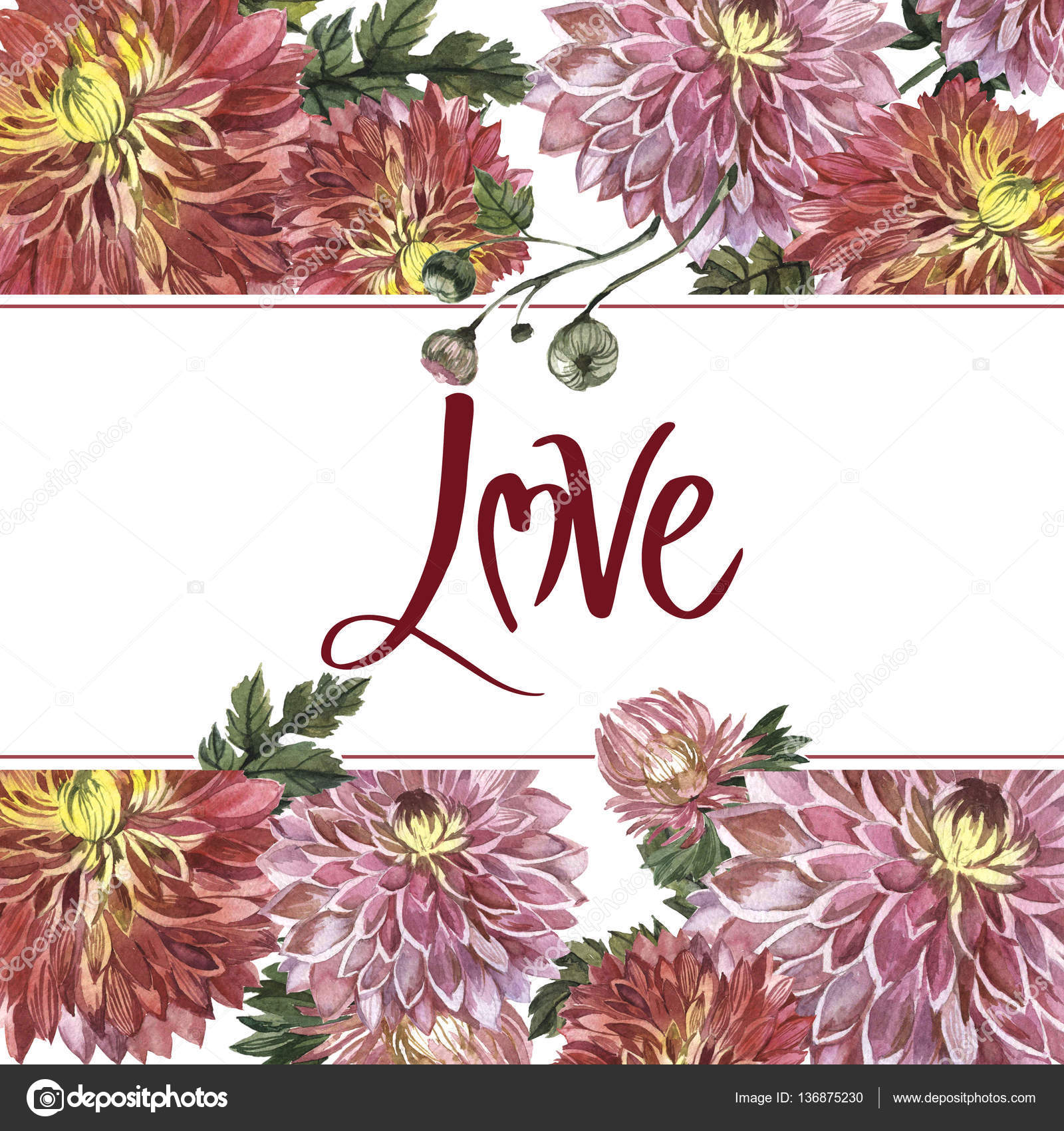 Wildflower aster flower frame in a watercolor style isolated. Stock ...