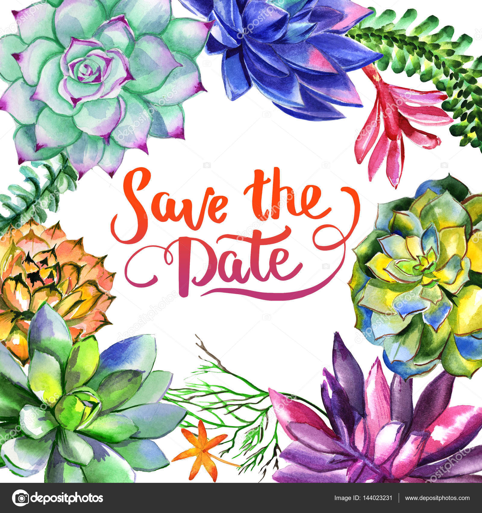 Wildflower succulentus flower frame in a watercolor style isolated ...