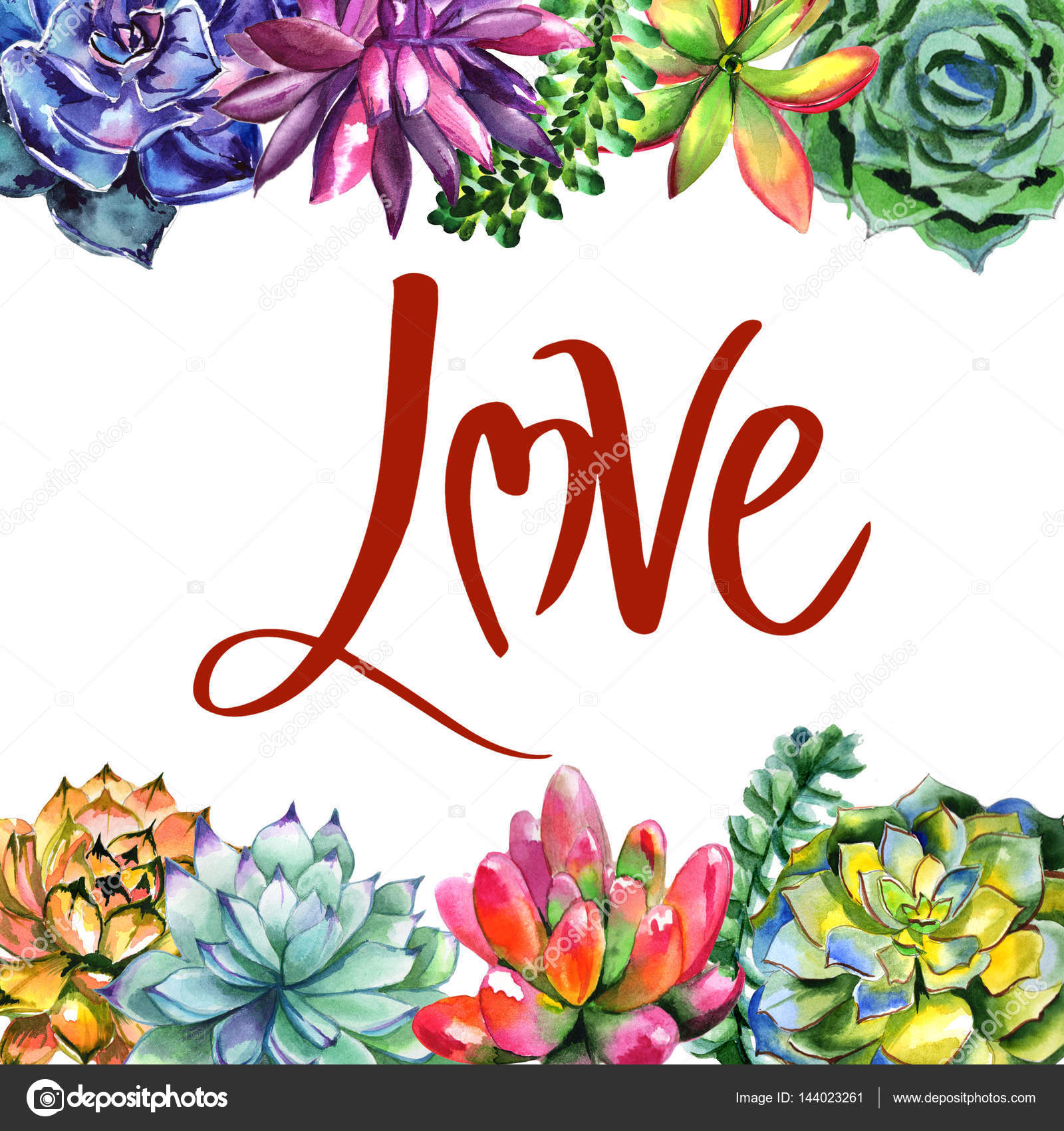 Wildflower succulentus flower frame in a watercolor style isolated ...